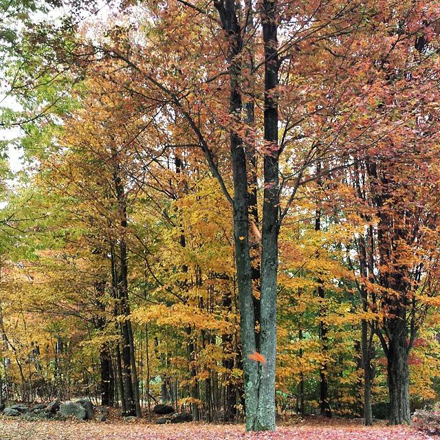 5 Fall Activites to do in NEPA – PA Weekend Fun